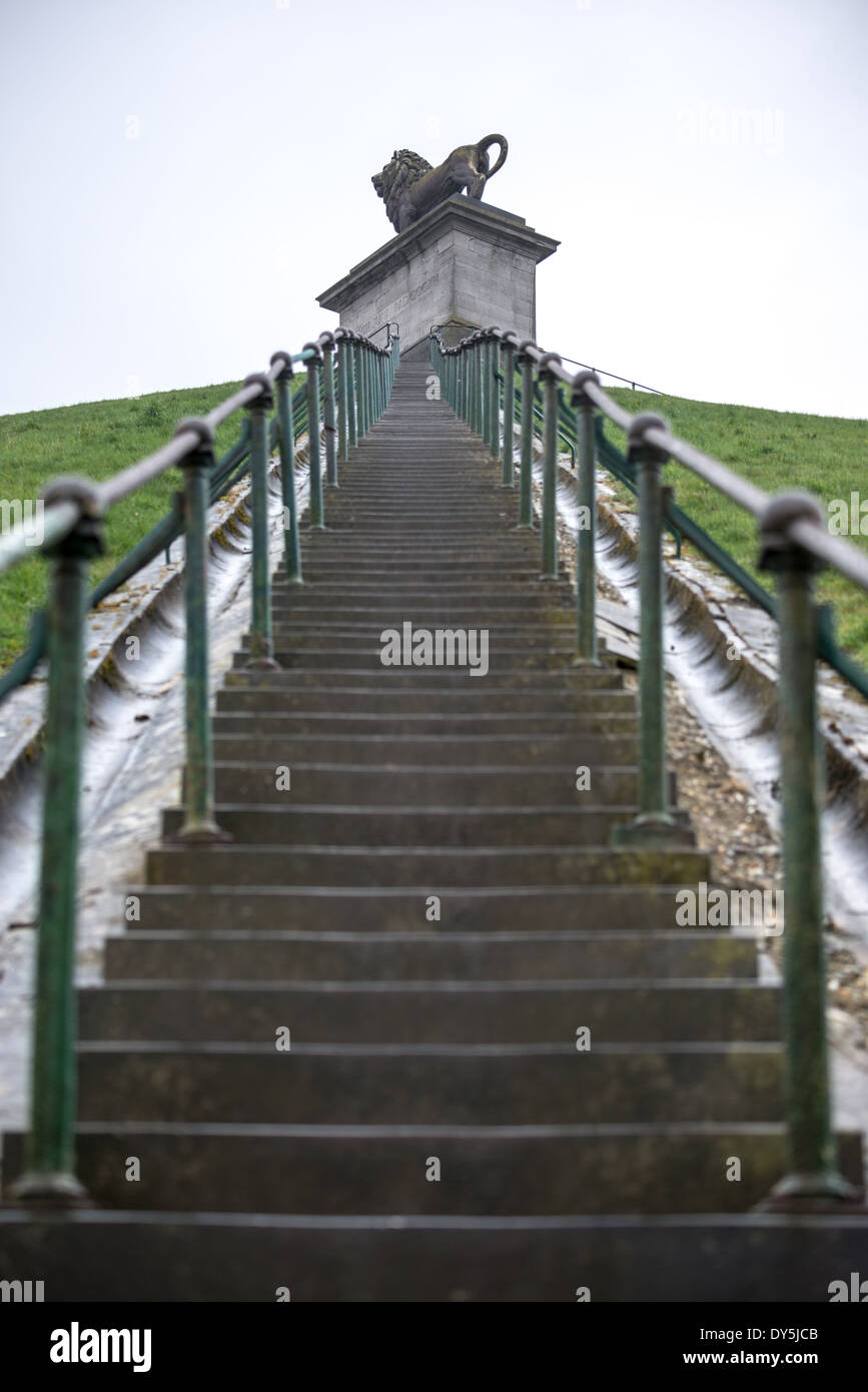 Lion steps hi-res stock photography and images - Alamy