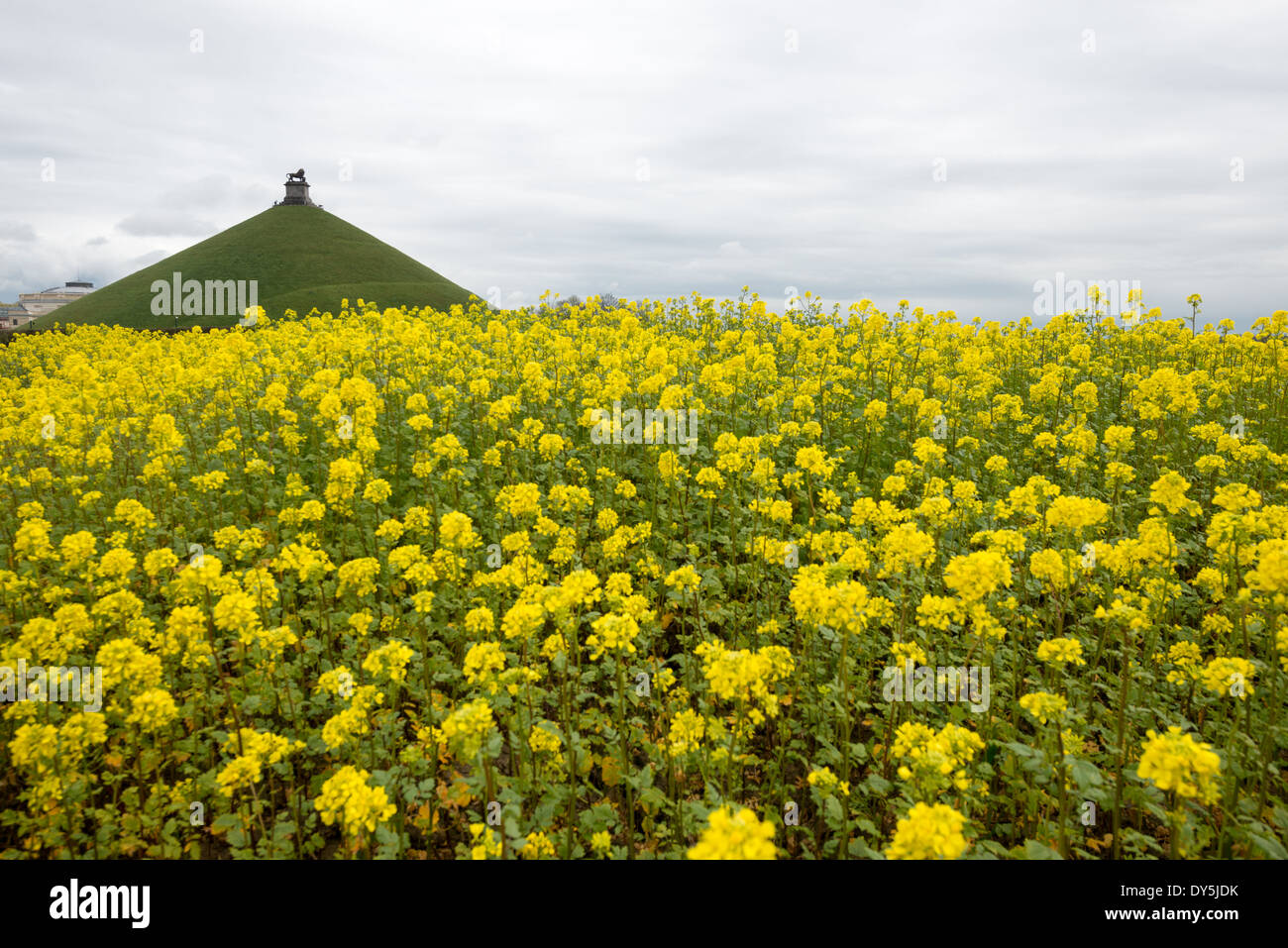 Prussian army waterloo monument hi-res stock photography and images - Alamy