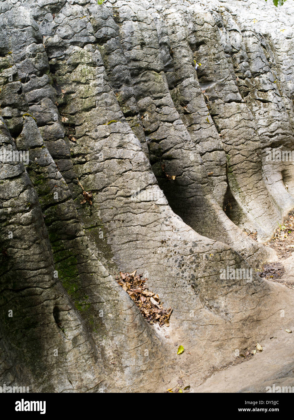 Labyrinth Rocks Park, Tasman District Council, near Takaka, New Zealand ...