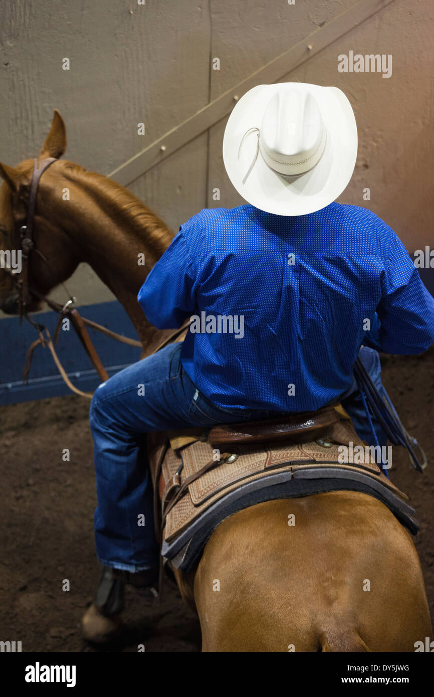USA, Oklahoma, Oklahoma City, Oklahoma State Fair Park, Cowboy Rodeo ...