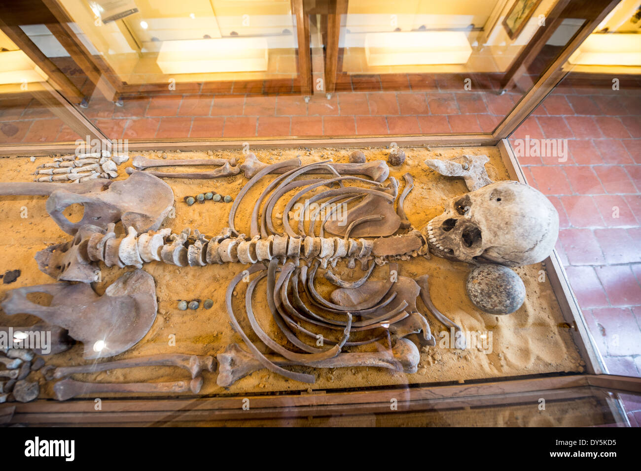 Battlefield archaeology display hi-res stock photography and images - Alamy