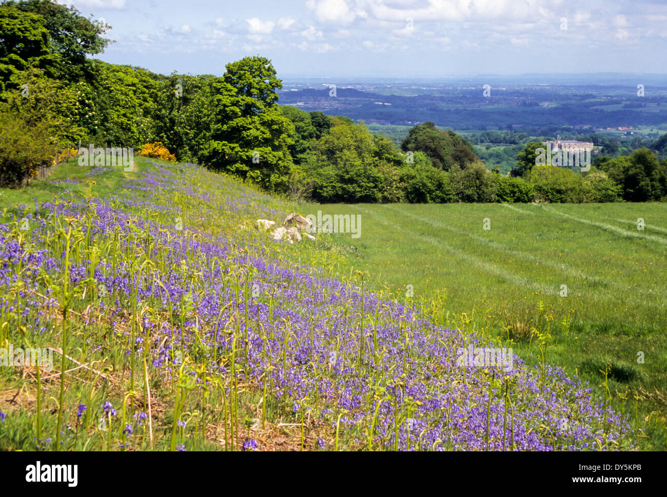 Wales, Offa's Dyke Footpath. Bluebells, Chirk Castle in the Distance ...