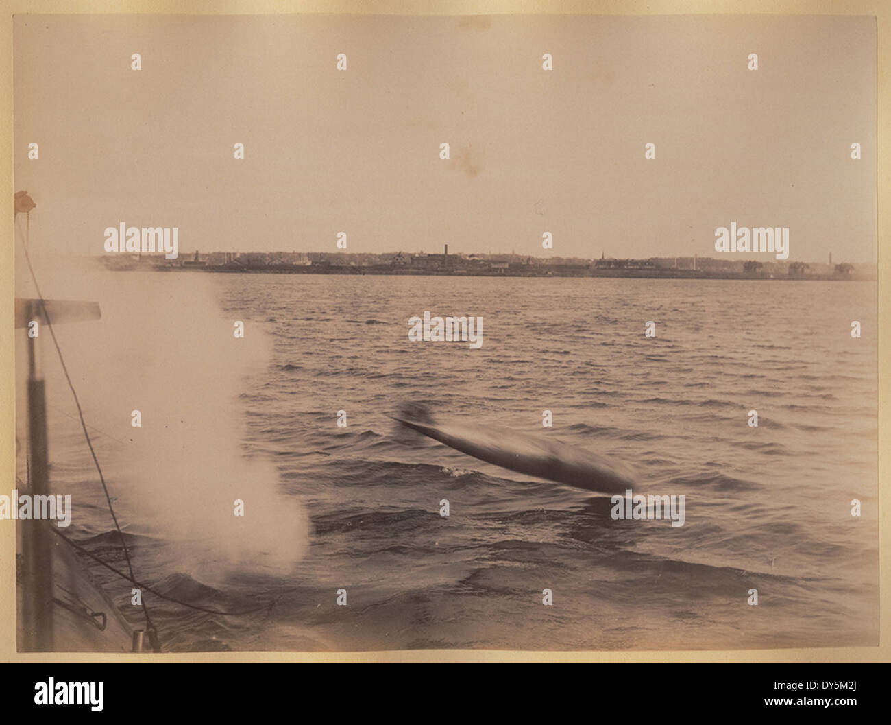 Torpedoboats High Resolution Stock Photography and Images - Alamy