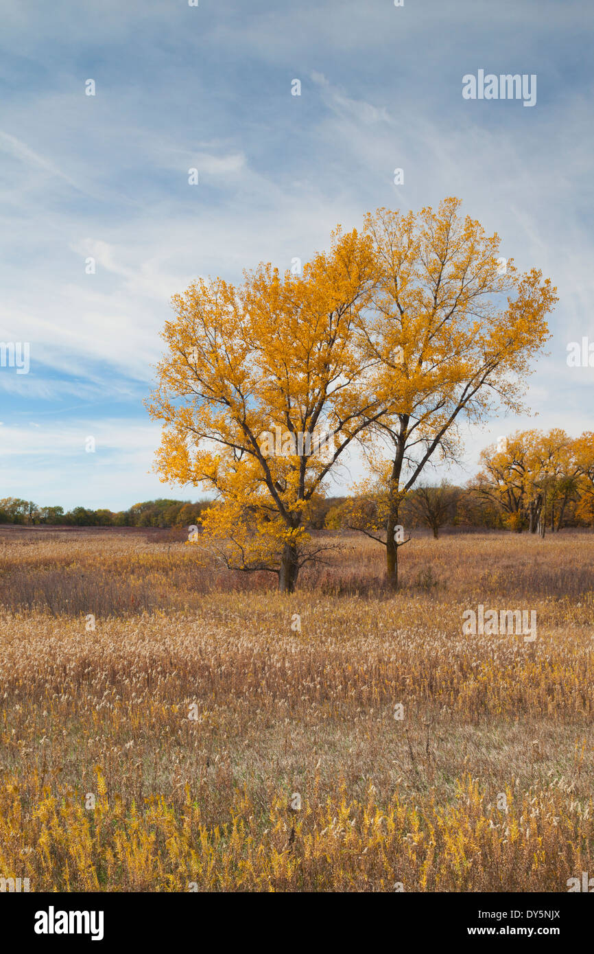 USA, Nebraska, Beatrice, Homestead National Monument of America ...
