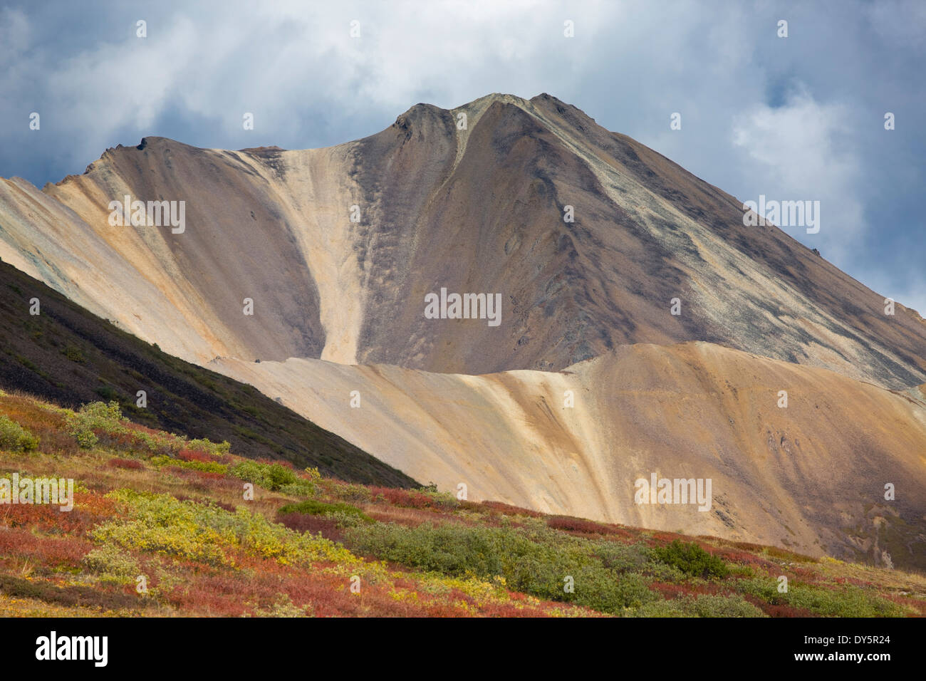 Sable Pass High Resolution Stock Photography and Images - Alamy