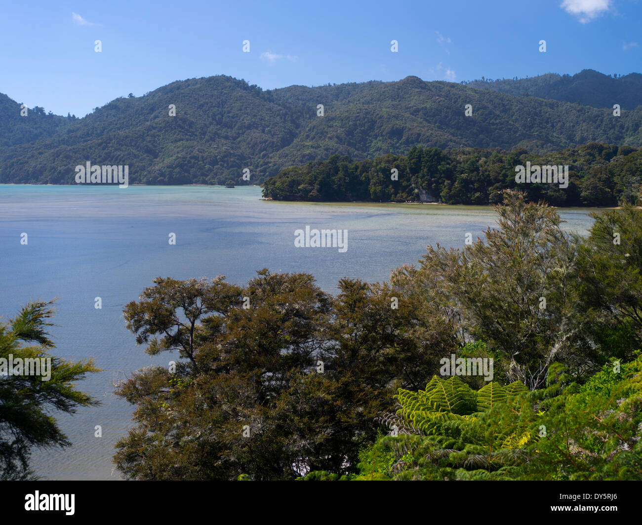 View of Awaroa Inlet near Takaka, New Zealand Stock Photo - Alamy
