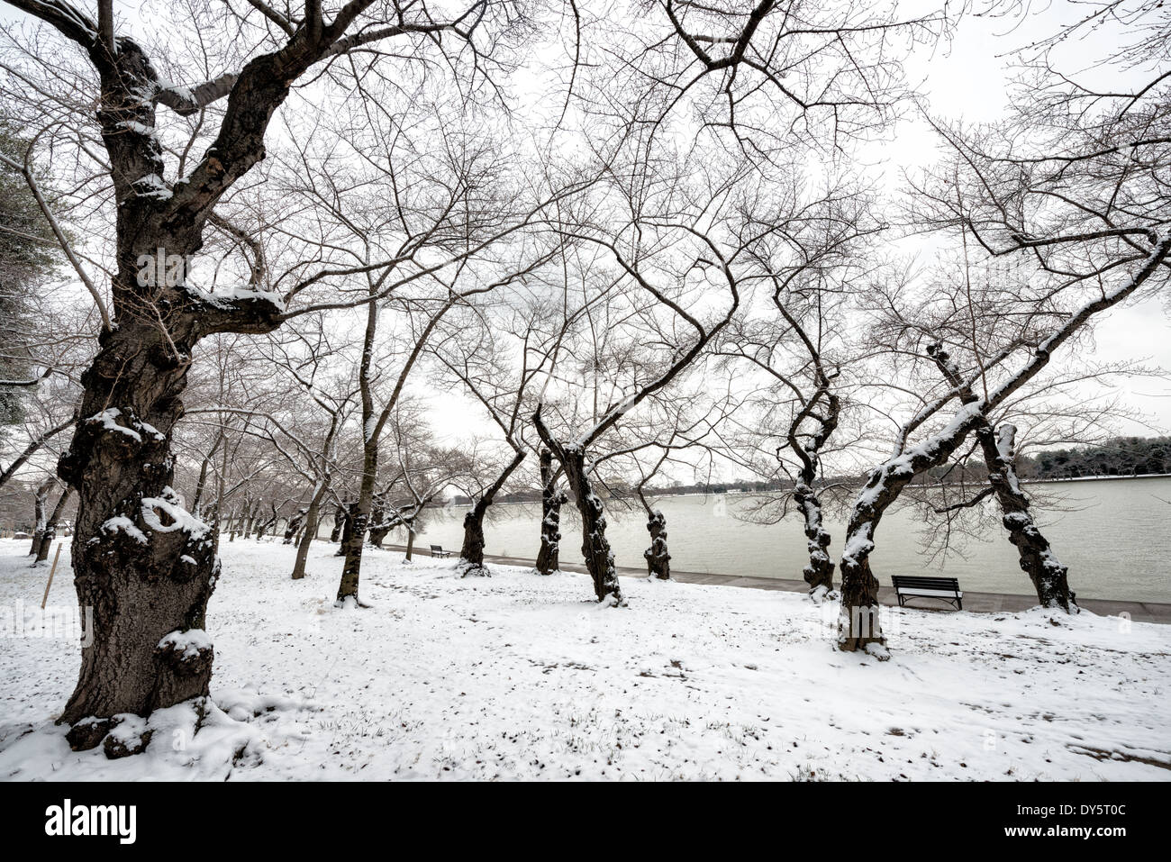 Snowy tidal basin images hi-res stock photography and images - Alamy