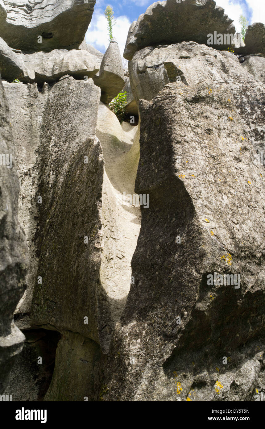 Labyrinth Rocks Park, Tasman District Council, near Takaka, New Zealand ...