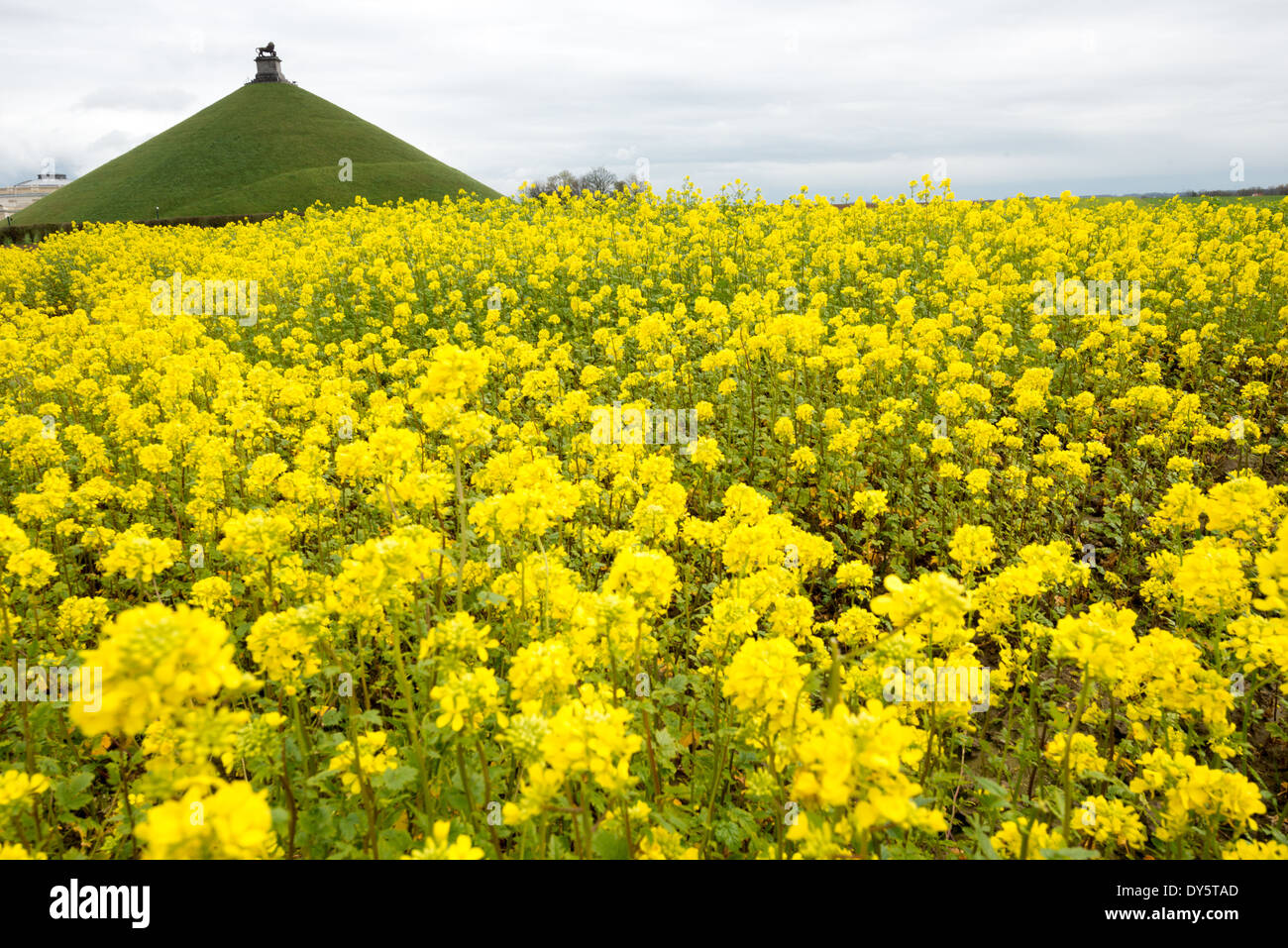 Prussian army waterloo monument hi-res stock photography and images - Alamy