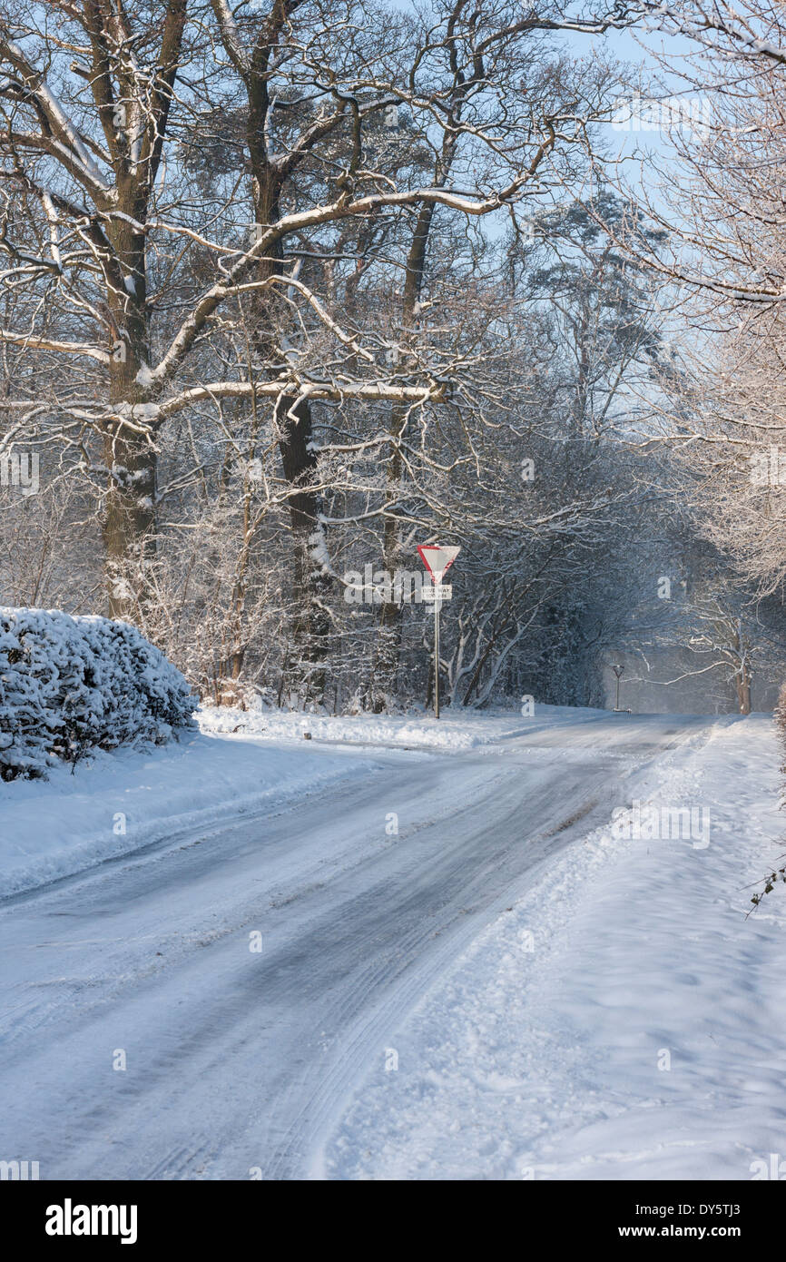 Snow covered wooded country lane which has been compacted and turned to ...