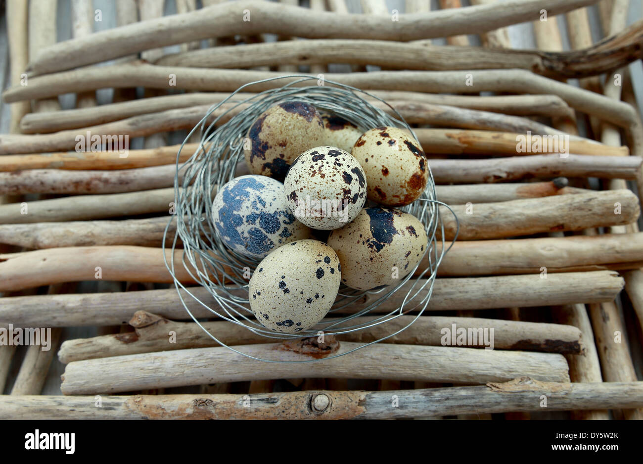 Nest with eggs Stock Photo - Alamy