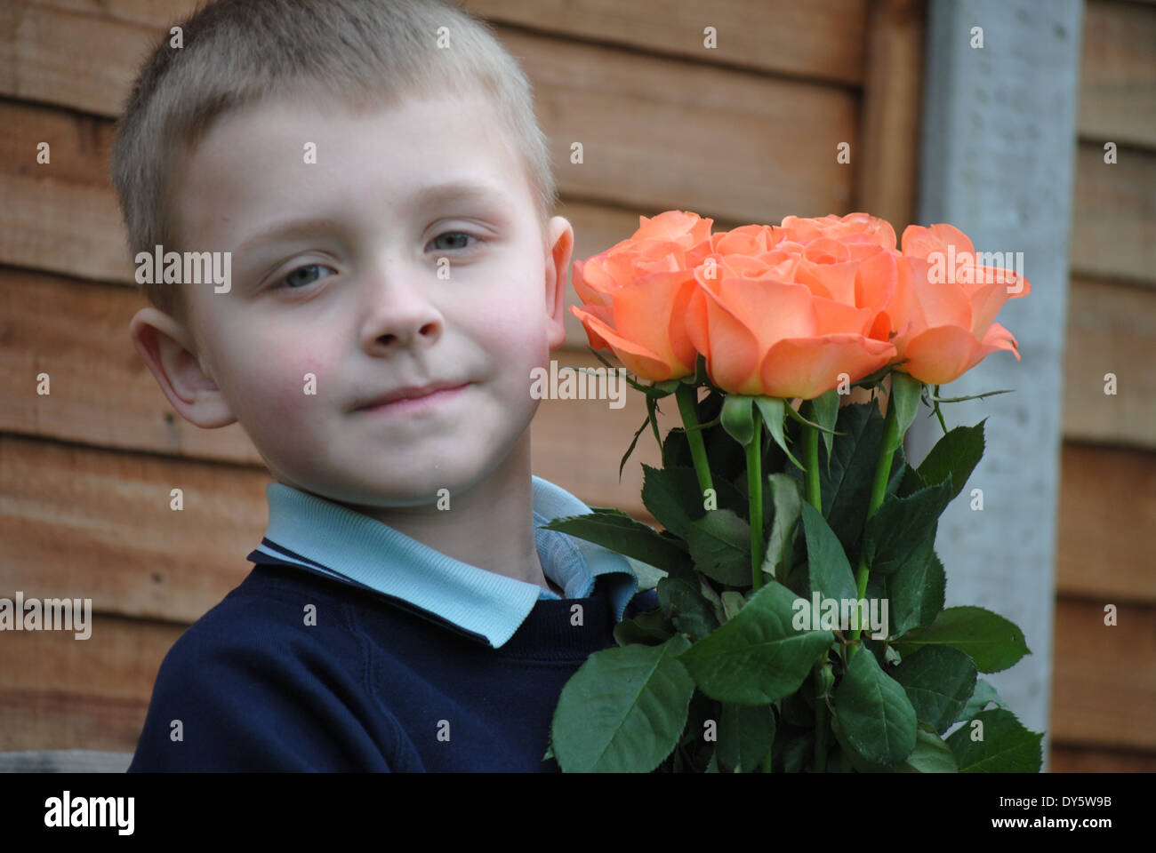 blonde, little boy with roses Stock Photo - Alamy