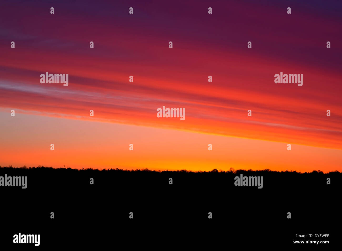 Beautiful spring sunrise hi-res stock photography and images - Alamy