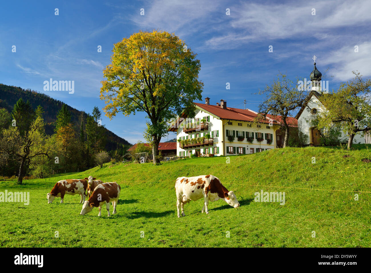 Bavarian farmhouse hi-res stock photography and images - Alamy
