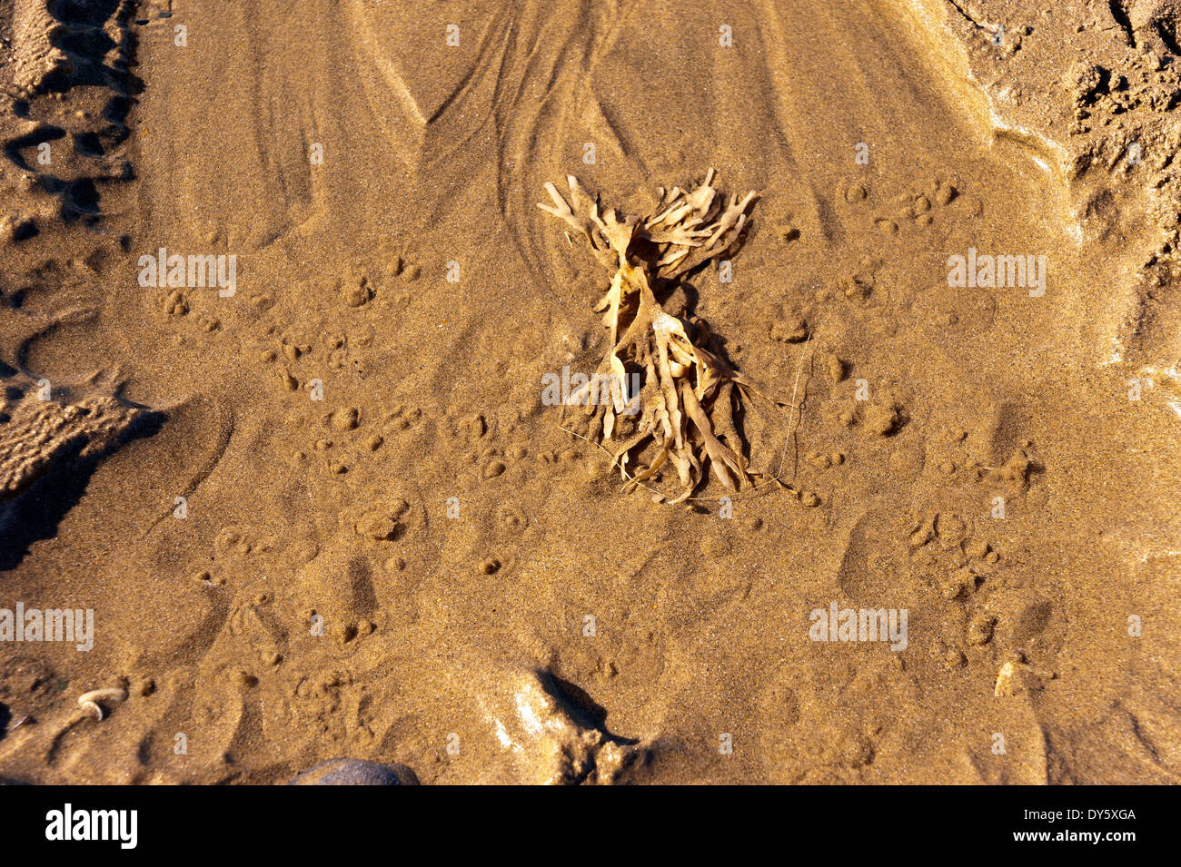 Nefyn North Wales Uk Stock Photo - Alamy