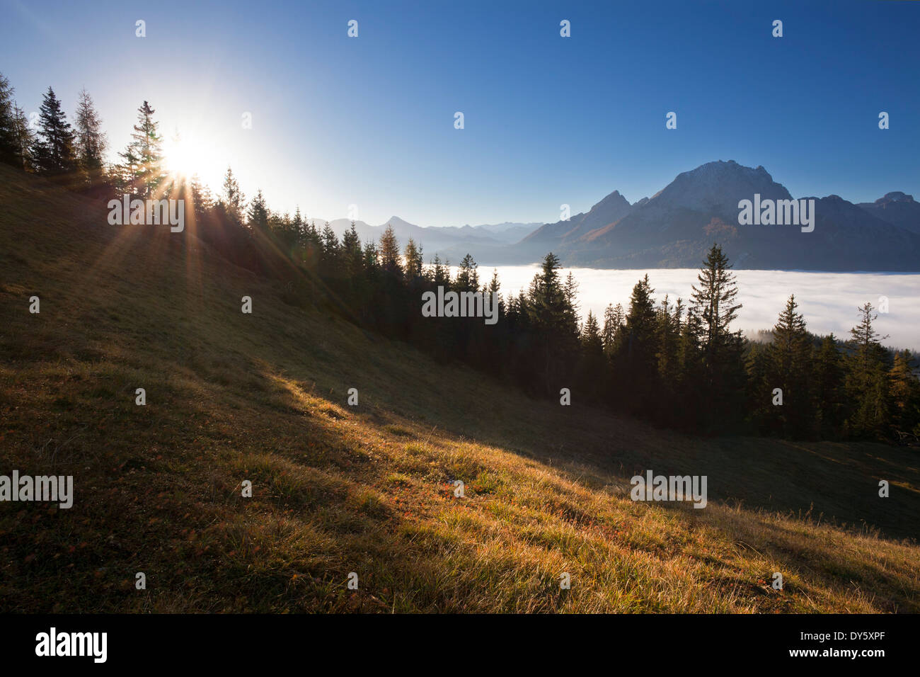 Full moon over bavaria hi-res stock photography and images - Alamy