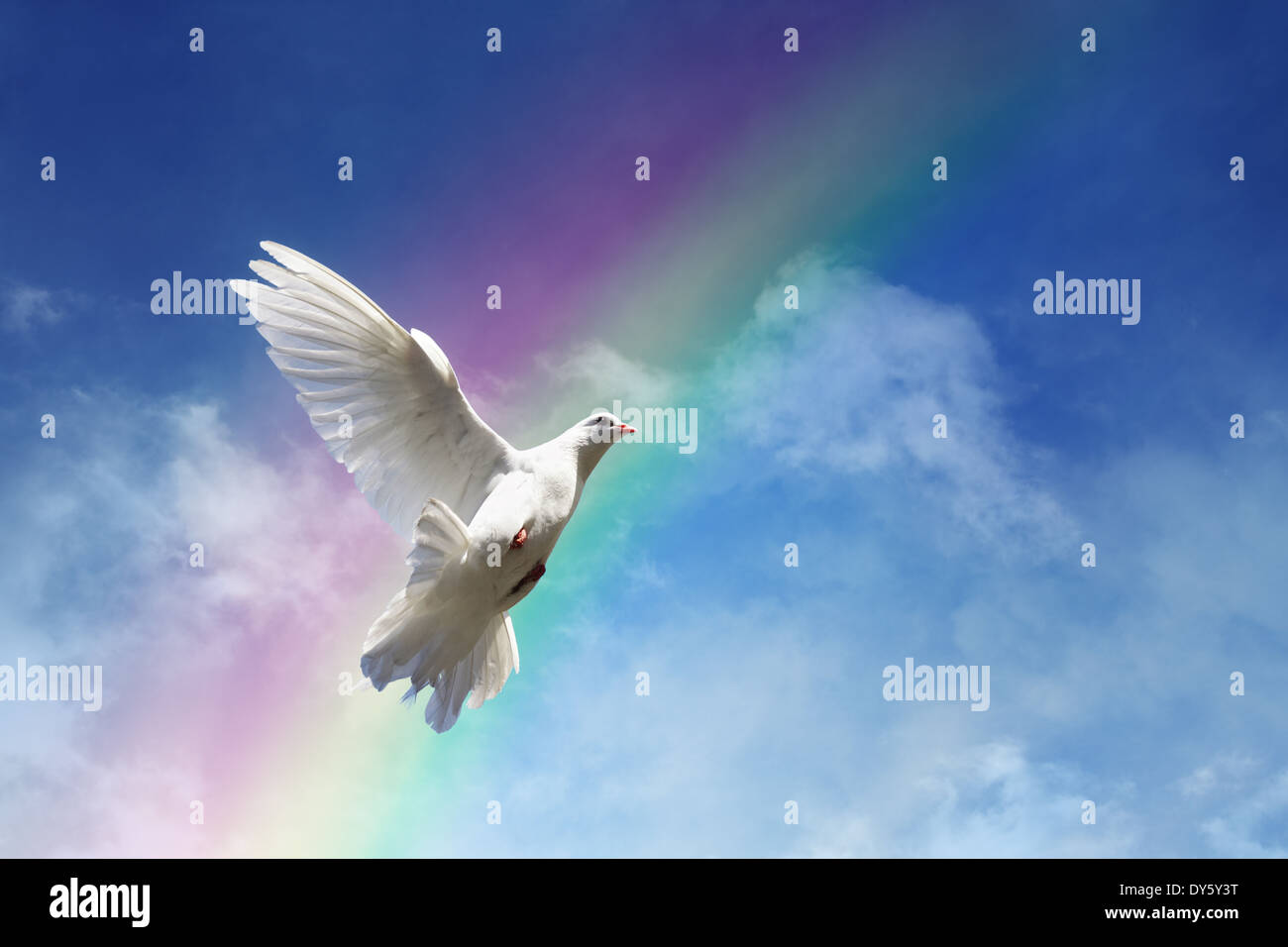 Freedom release hi-res stock photography and images - Alamy