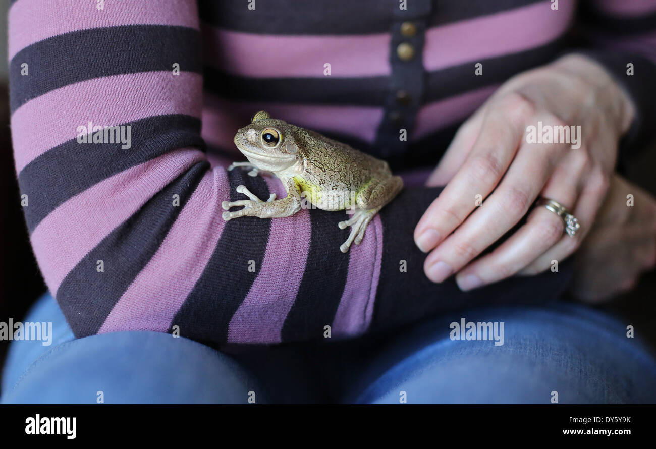 Woman holding frog hi-res stock photography and images - Alamy