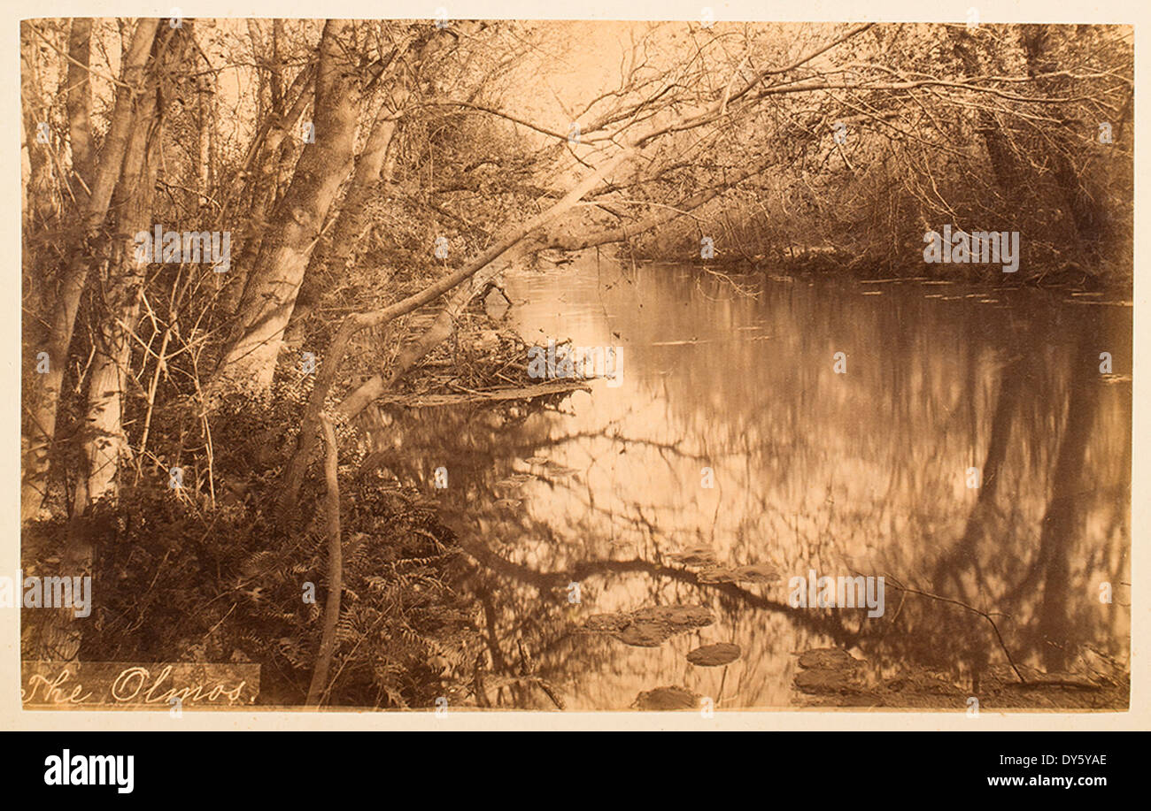 Olmos hi-res stock photography and images - Alamy