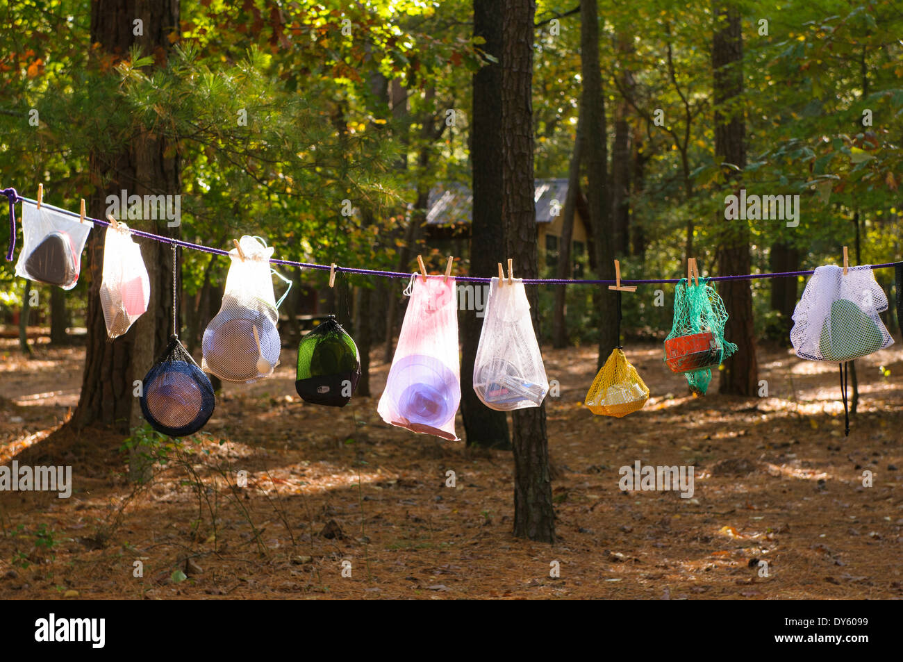 Mess kits, camping equipment, hanging to dry at camp site Stock Photo ...