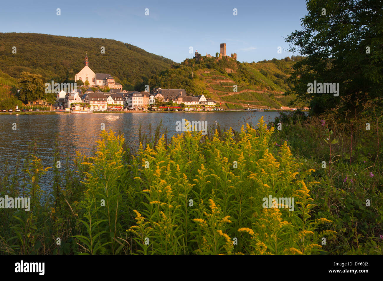 Metternich castle hi-res stock photography and images - Alamy