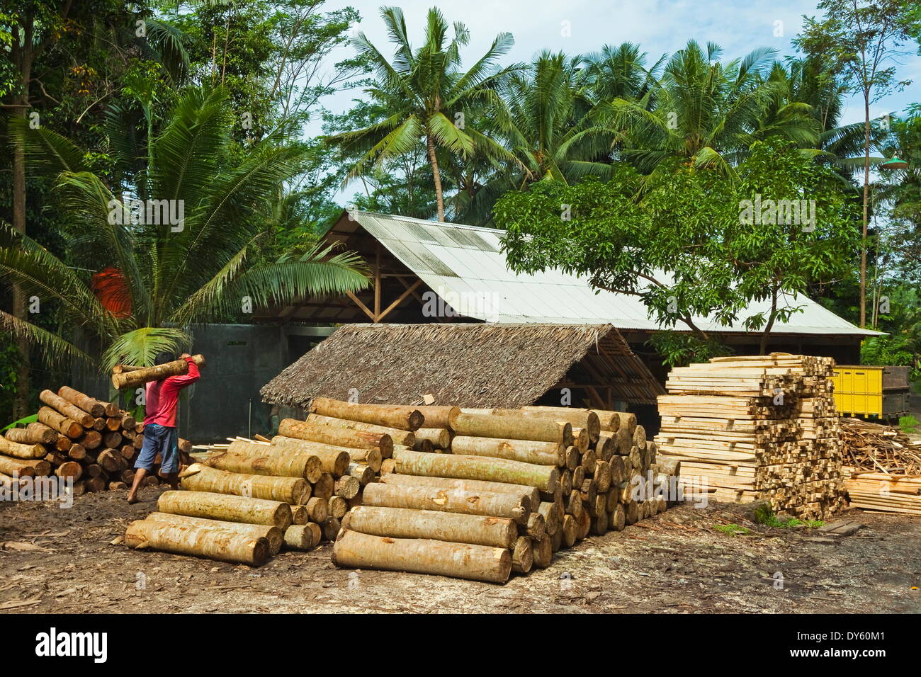 Java lumber hi-res stock photography and images - Alamy