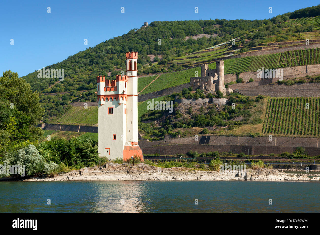 Mouse Tower and Ehrenfels castle, Unesco World Cultural Heritage, near ...