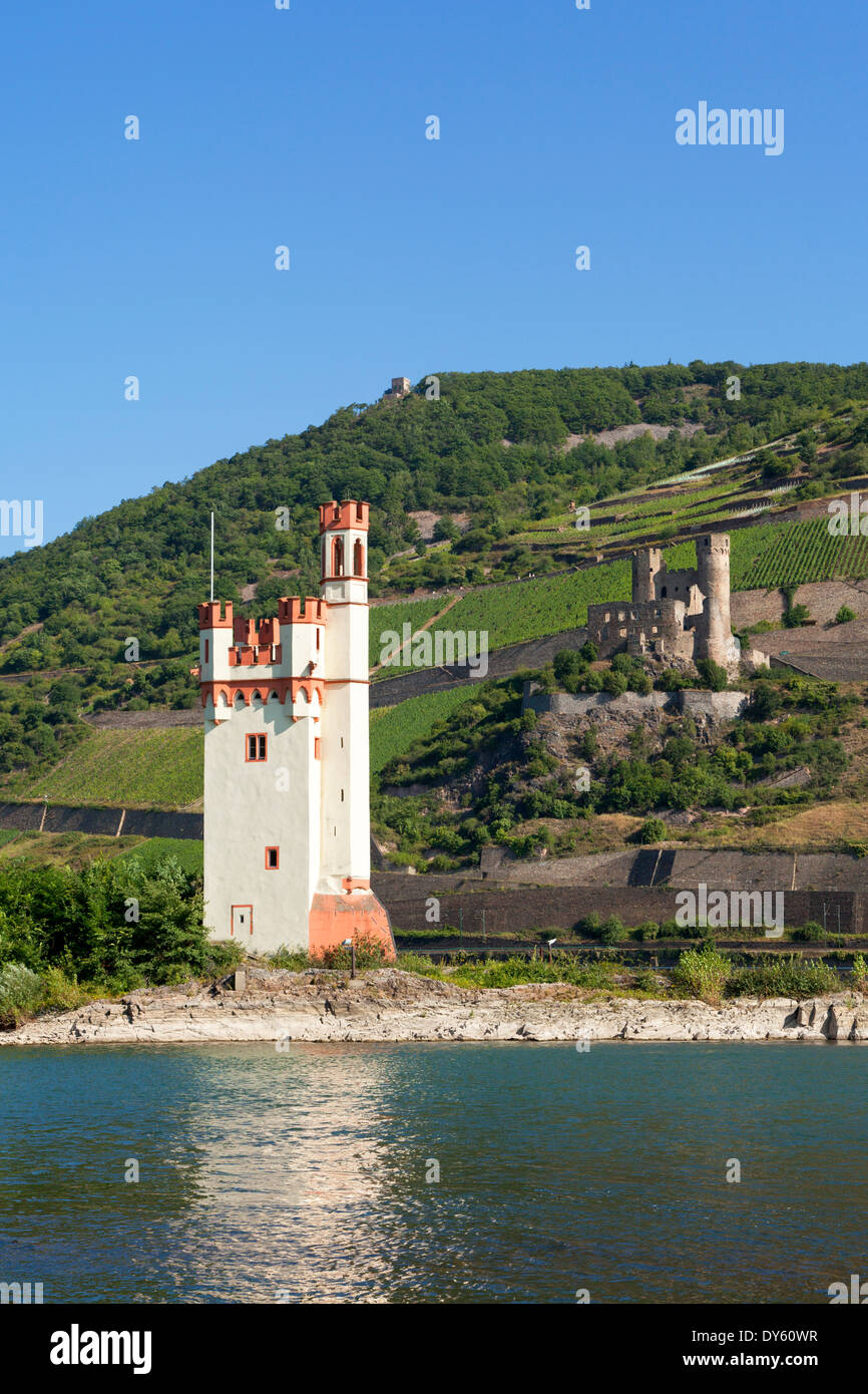 Mouse Tower and Ehrenfels castle, Unesco World Cultural Heritage, near ...