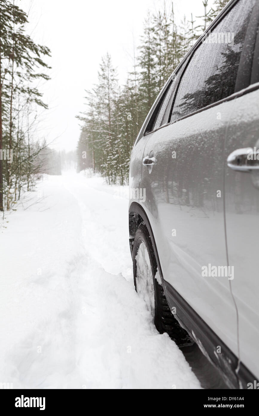 Car reverse tree hi-res stock photography and images - Alamy
