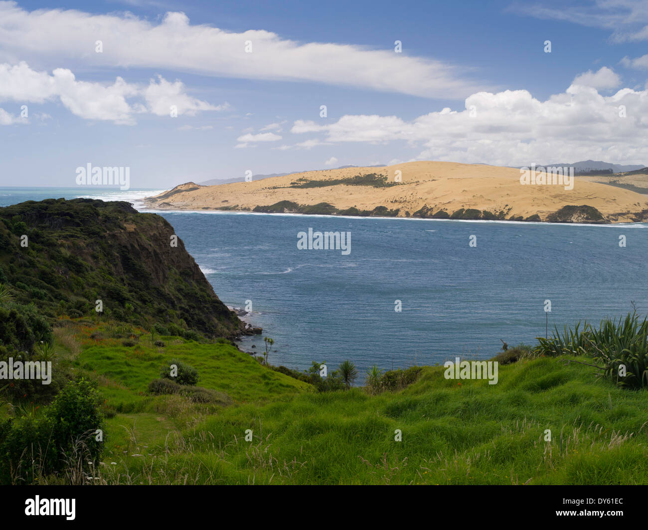 View across Hokianga Harbor, Northland, New Zealand Stock Photo - Alamy