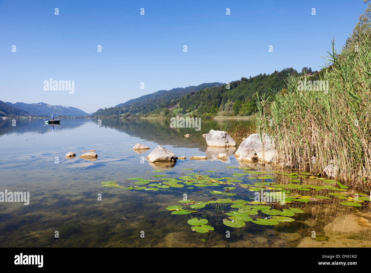 Alpsee, allgau, germany hi-res stock photography and images - Alamy