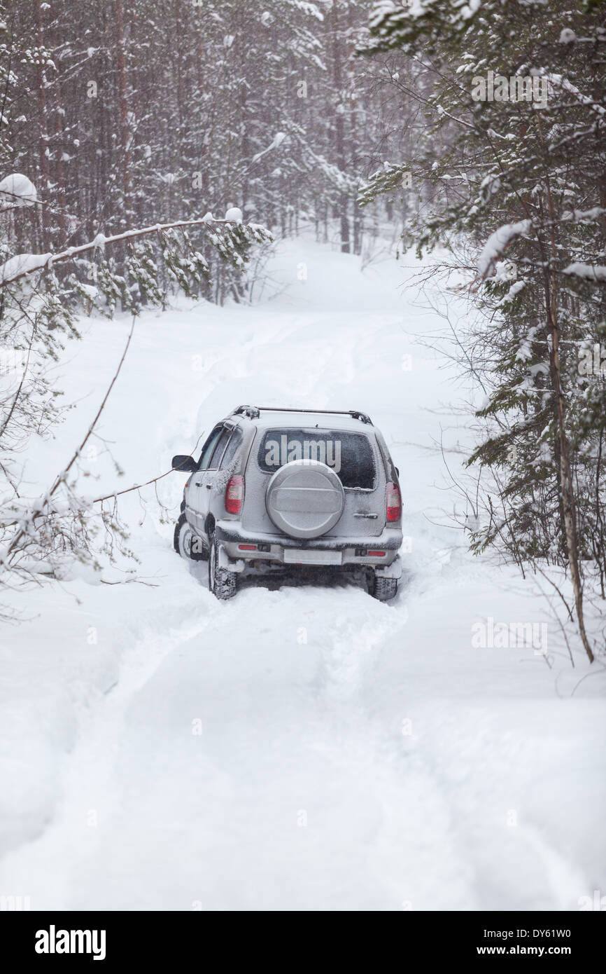 Car snow driving trees hi-res stock photography and images - Alamy