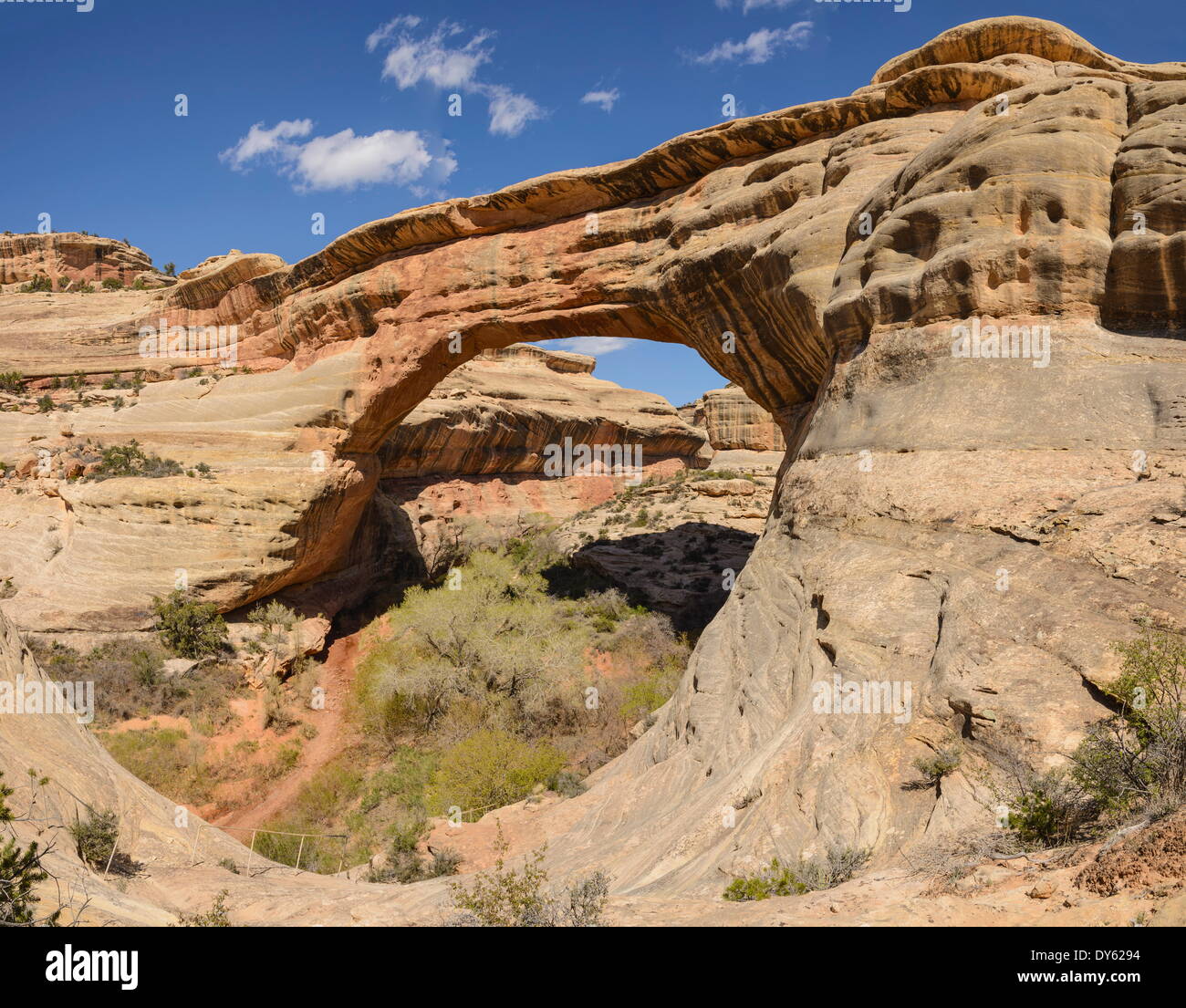 Natural Bridges National Monument Utah United States at Billy Dendy blog