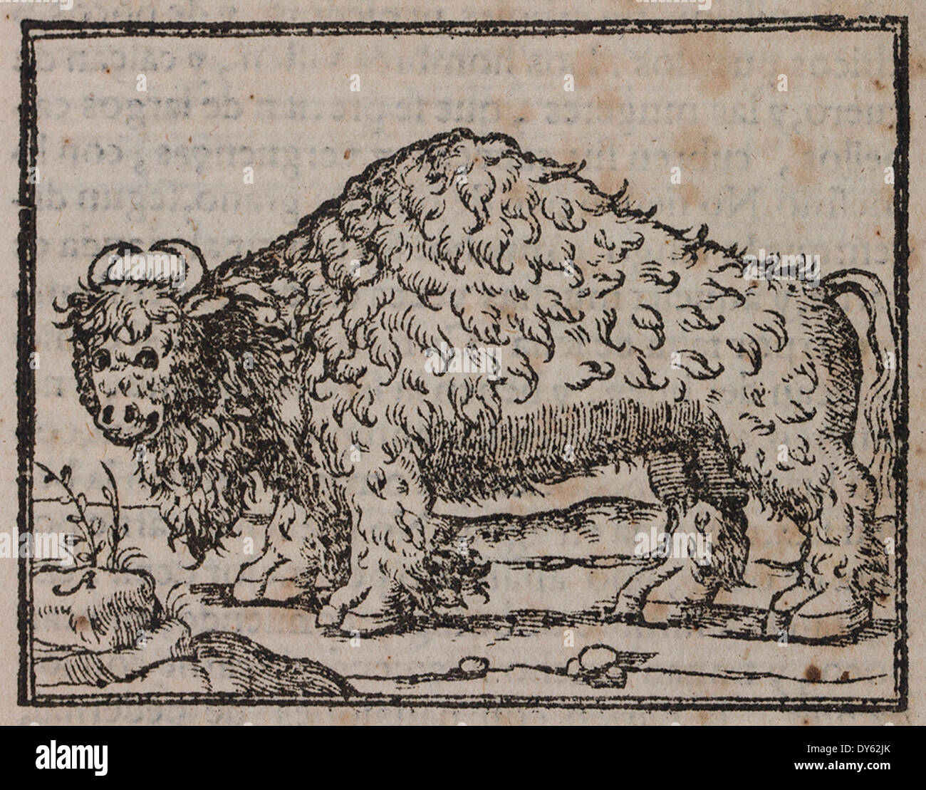 This illustration depicts the American bison, an iconic animal of North ...