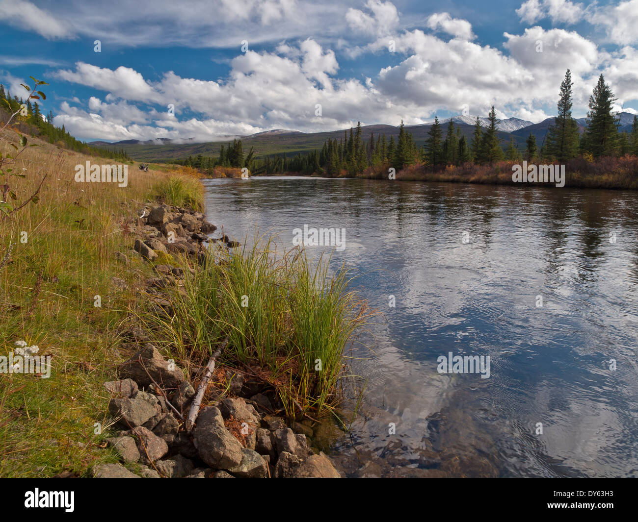 Rancheria grass hi-res stock photography and images - Alamy