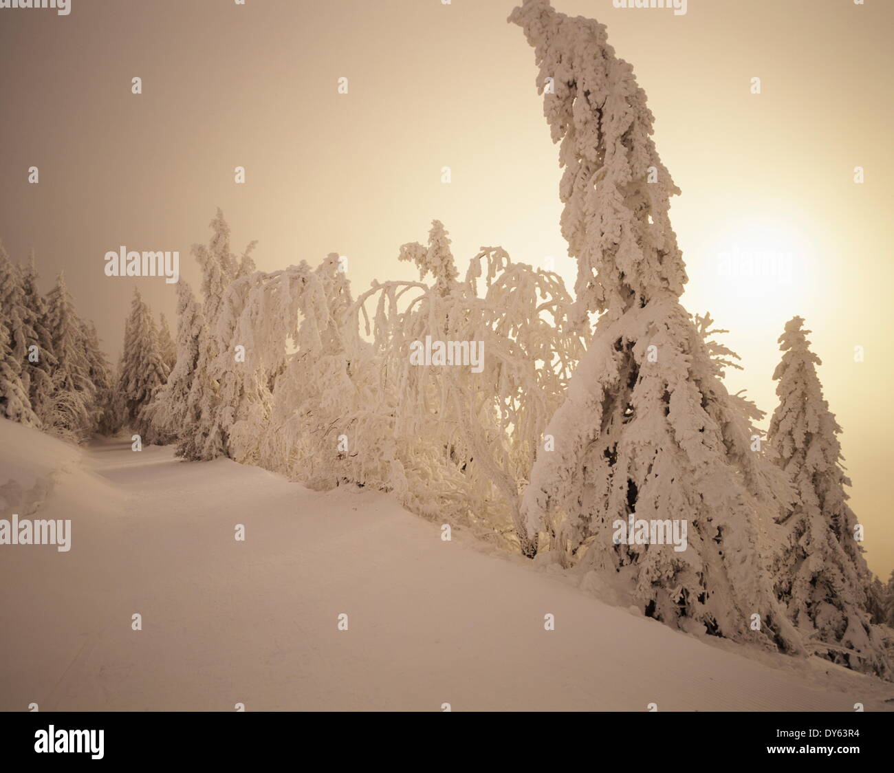 Feldberg germany snow hi-res stock photography and images - Alamy