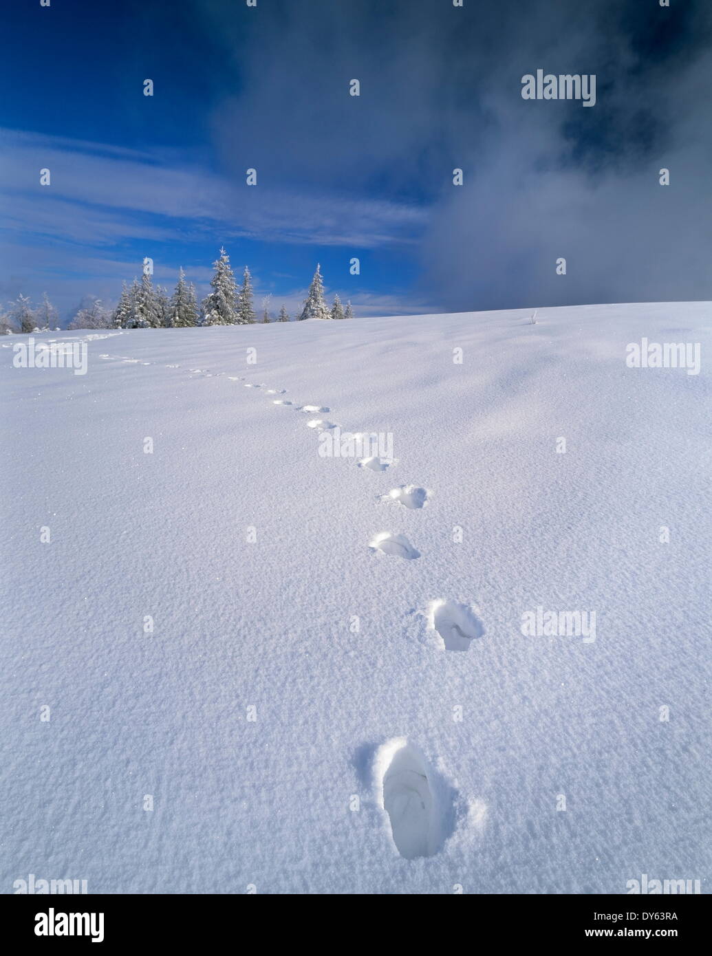 Large Mountain Backgrounds High Resolution Stock Photography and Images ...