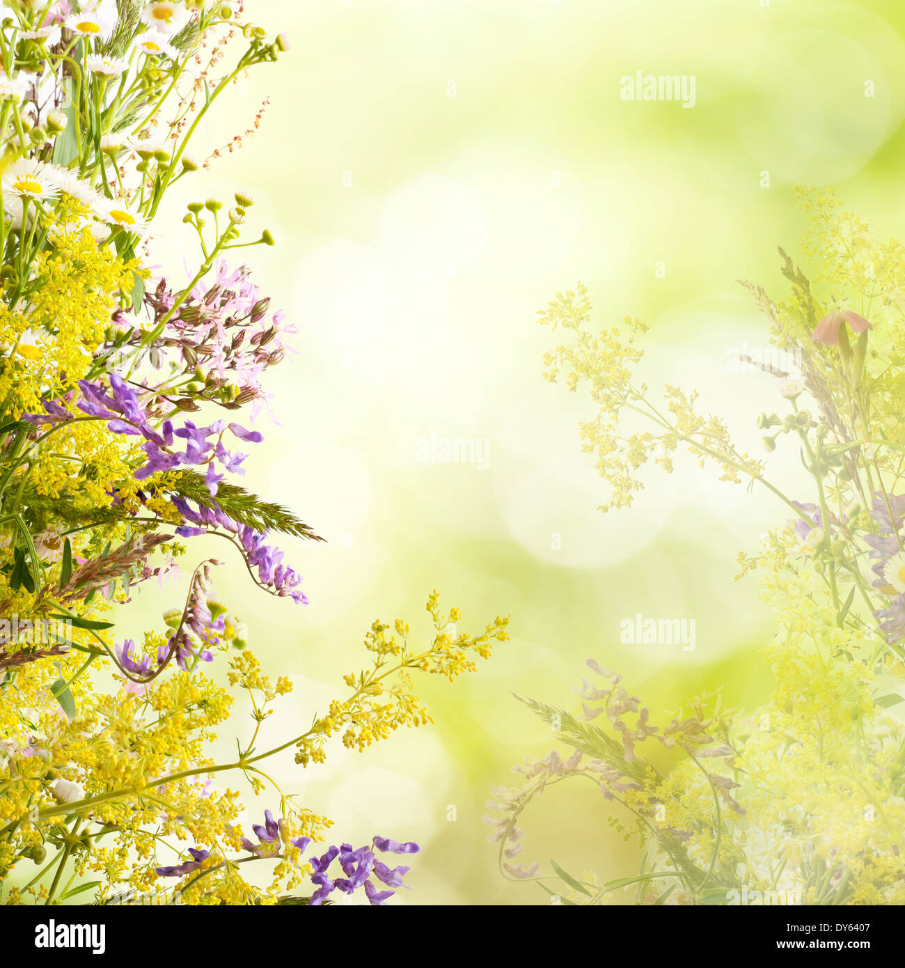 Floral easter background Stock Photo - Alamy