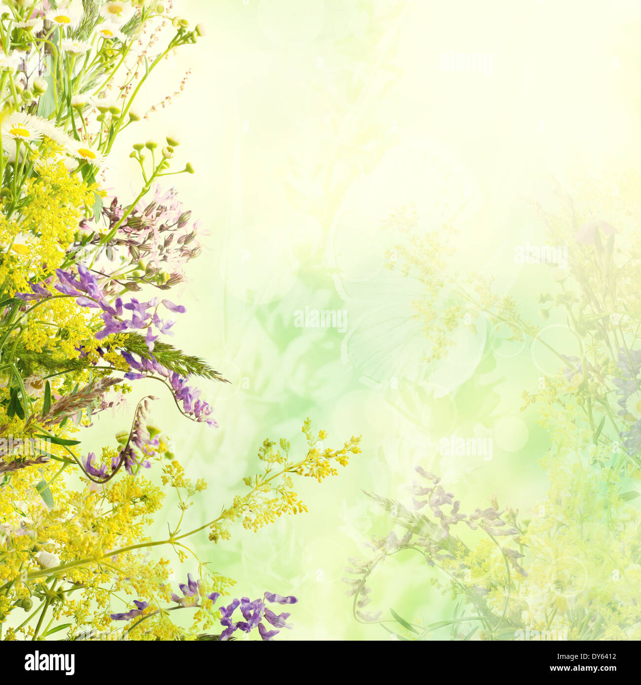 Floral easter background Stock Photo - Alamy