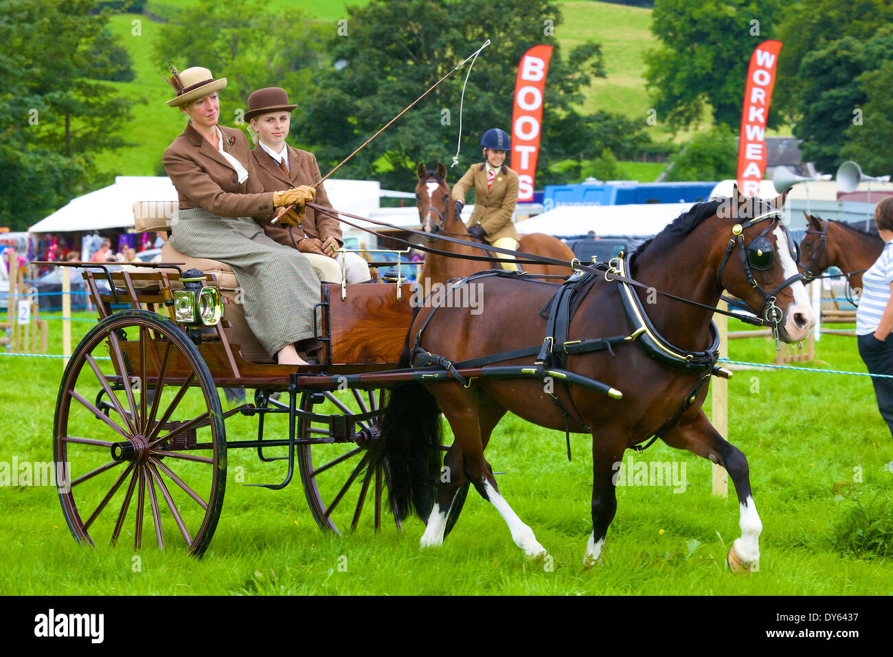 Two women carriage driving at Hawkshead Show, Hawkshead, Cumbria ...