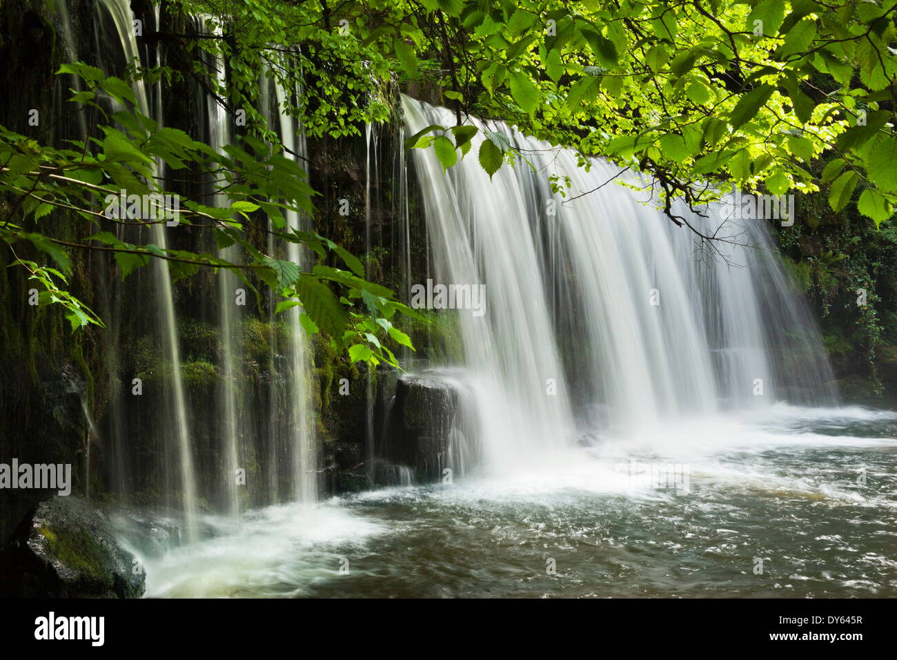 Sqwd Ddwli Waterfall, Brecon Beacons, Wales, United Kingdom, Europe ...