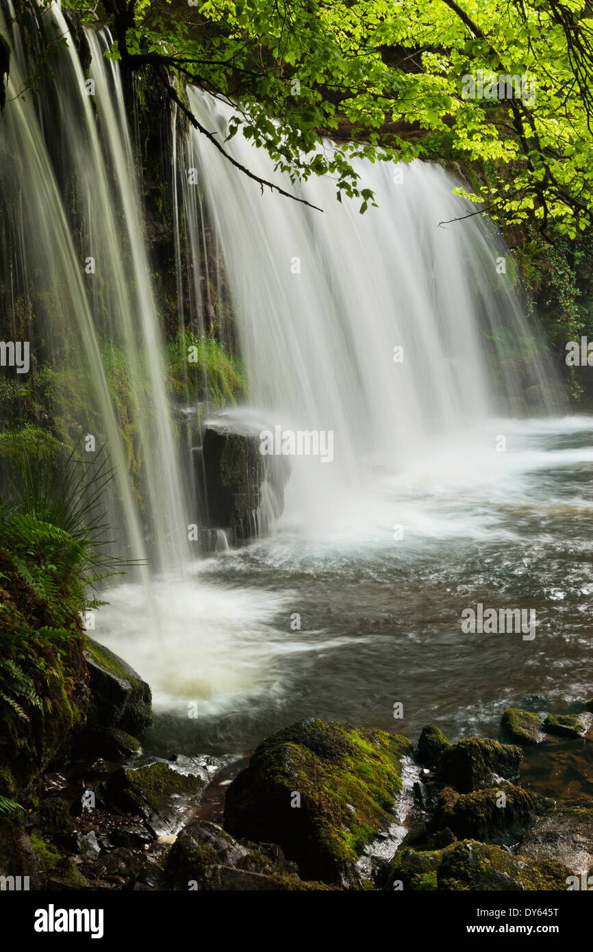 Sqwd Ddwli Waterfall, Brecon Beacons, Wales, United Kingdom, Europe ...