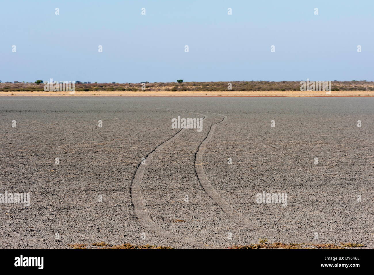 Kalahari hi-res stock photography and images - Alamy