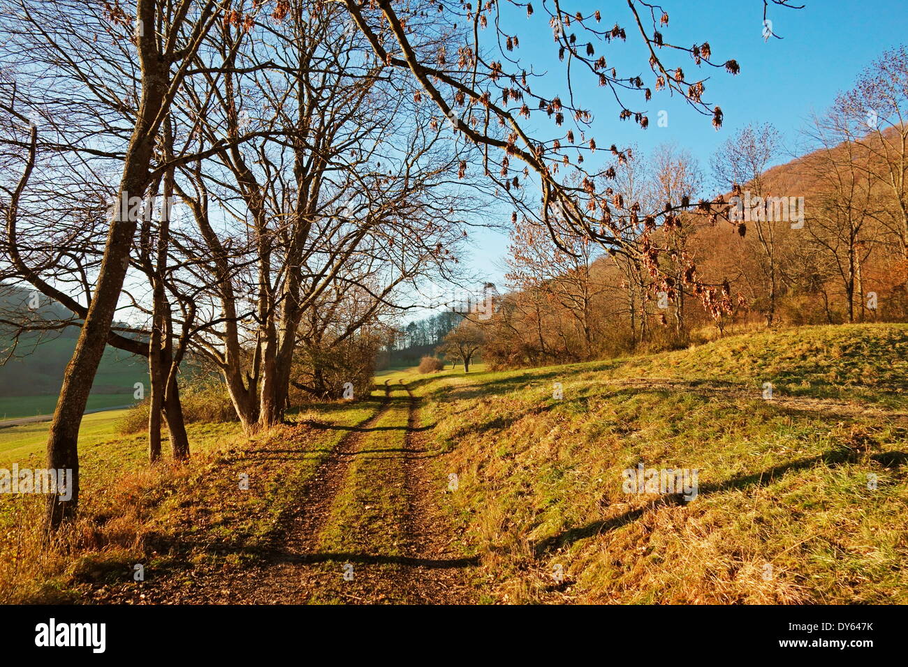 Swabian alb, baden württemberg hi-res stock photography and images - Alamy