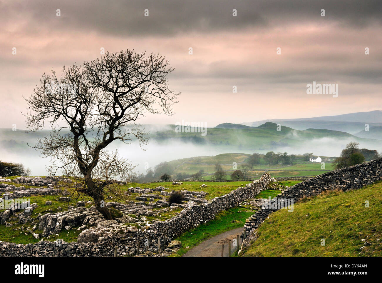 Ribble valley autumn hi-res stock photography and images - Alamy