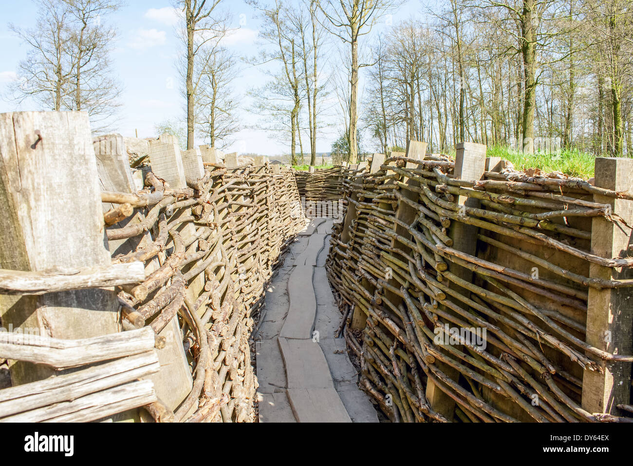 Bayernwald Trenches world war one flanders Belgium Stock Photo - Alamy