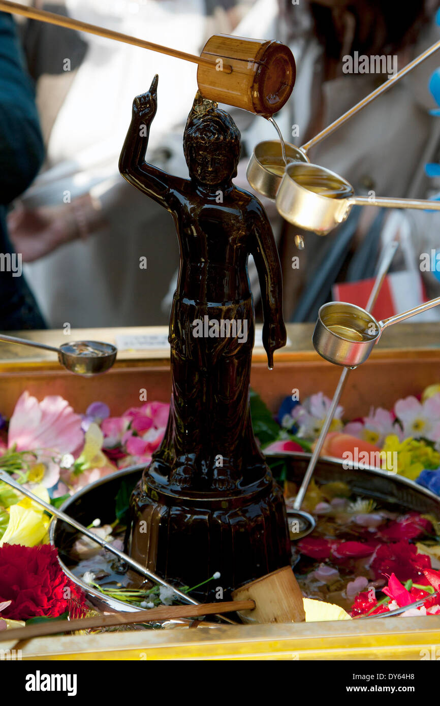 Tea Wallpaper Buddha Tokyo Private Before & After Hours Access To