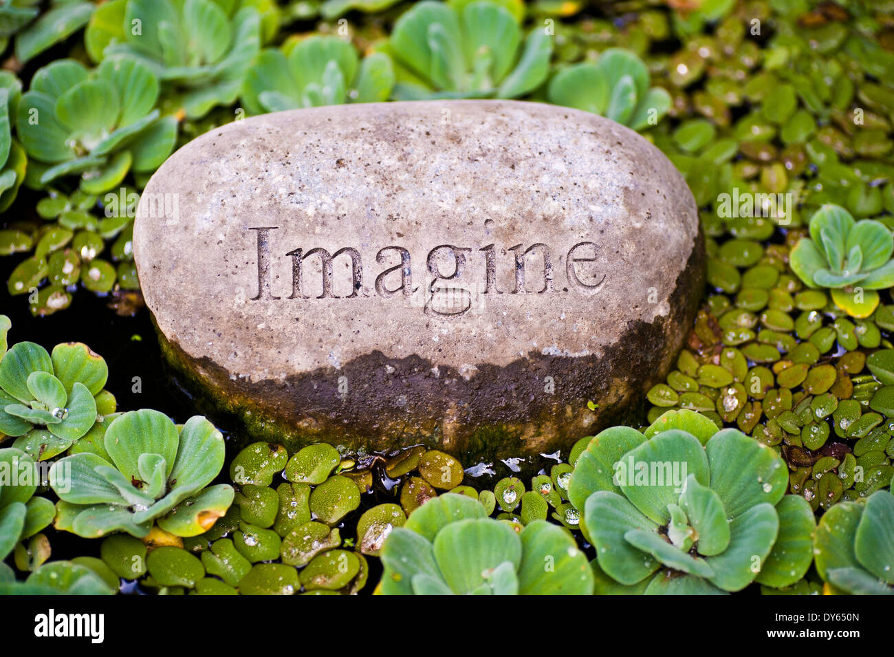 Zen meditation stone: Imagine Stock Photo - Alamy
