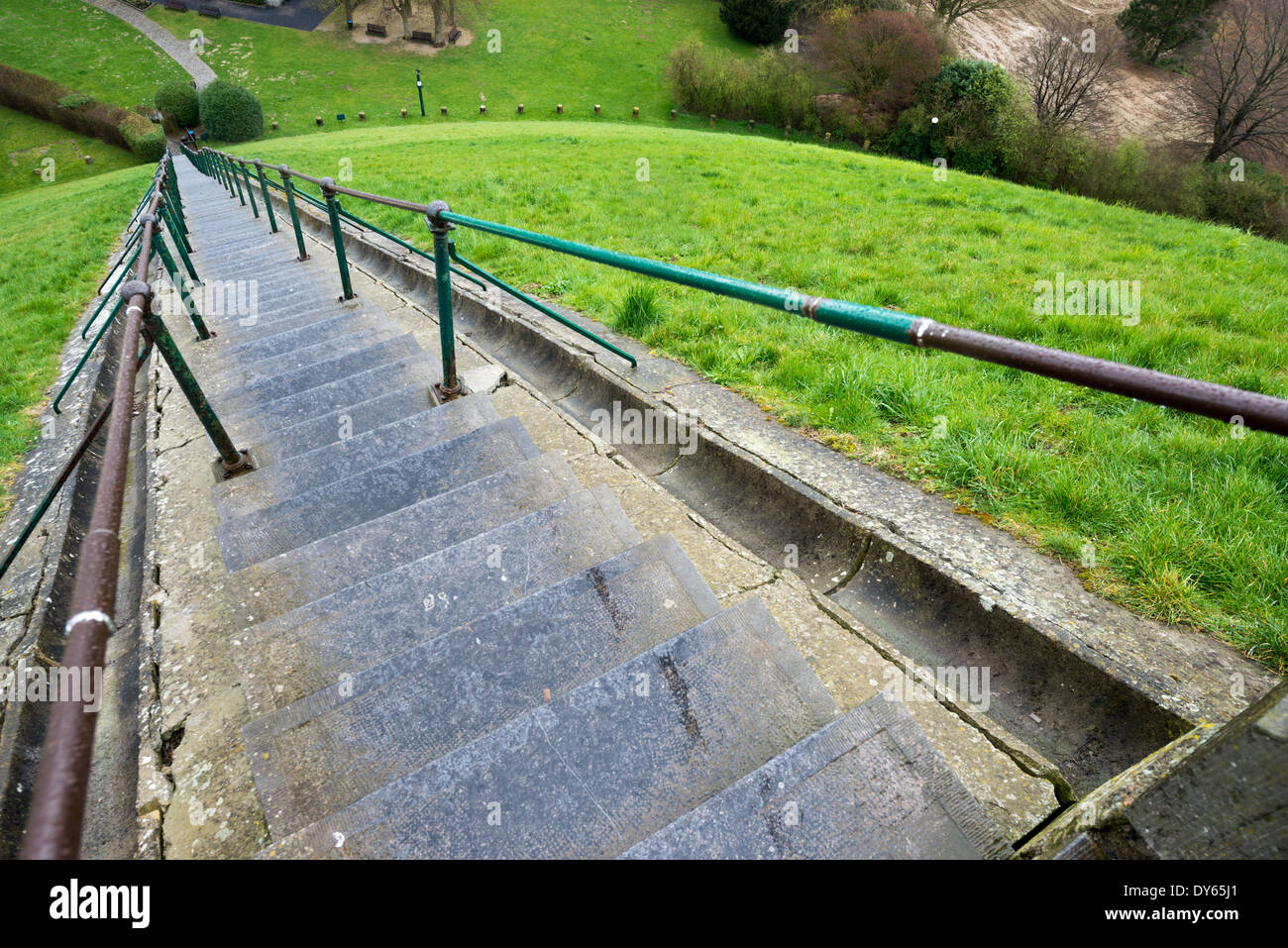 Lion steps hi-res stock photography and images - Alamy