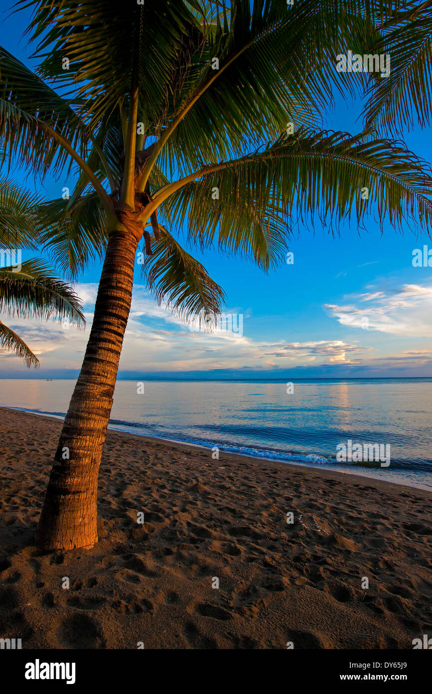 Donsol, The Whale Shark Capital Stock Photo - Alamy